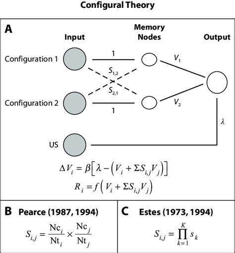 Diagrammatic Representation Of Configural Theory As Proposed By J M Download Scientific