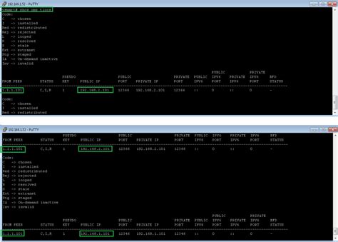 13 Cisco Sd Wan Omp Routing Concept Rayka Are You A Network Engineer