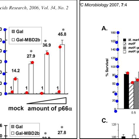 Sample Detection Results Of Data Points In Scientific Bar Charts Download Scientific Diagram