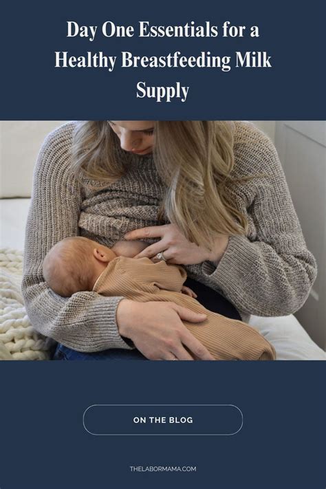 New Moms Guide To Breastfeeding Building A Healthy Milk Supply Healthy Milk Breastfeeding