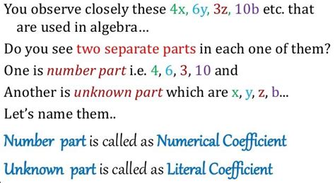 Factors And Coefficients Of A Polynomial CBSE Library