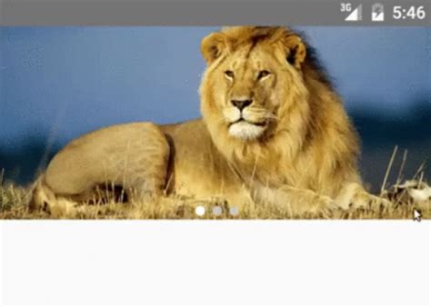Easy Image Slider For React Native Reactscript
