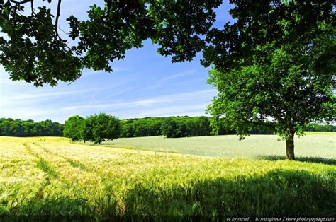 Ile De France Paysage De Campagne Photo Photo
