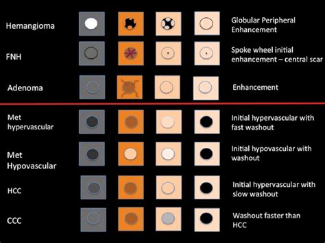 Enhancement Patterns In Focal Liver Lesions The Orange Color