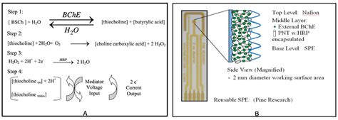 Sensors Free Full Text Peptide Nanotube Encapsulated Enzyme Biosensor For Vapor Phase