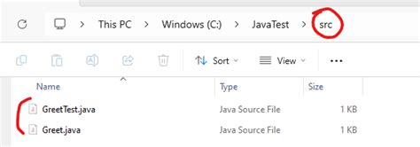 Cannot Use Junit Testing On Vscode Microsoft Qanda