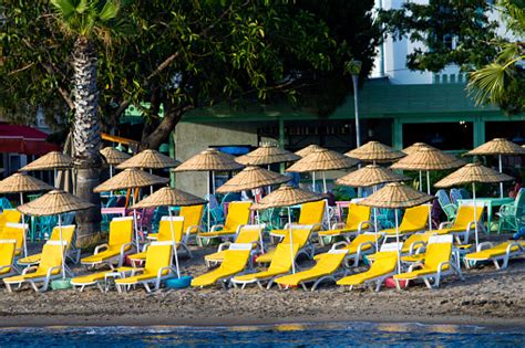 야자수와 목련 나무와 배경에 노란색 매트리스 선탠 침대 짚 우산과 화려한 대나무 의자로 가득 해변의 전면 이미지 0명에 대한 스톡 사진 및 기타 이미지 Istock