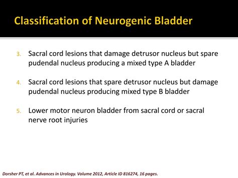Ppt Neurogenic Bladder Powerpoint Presentation Free Download Id 8836781