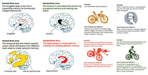 What Is Trauma And Its Types Printable Templates Free