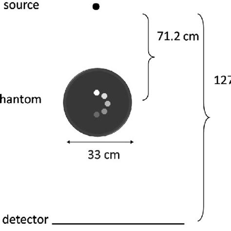 reconstructed images with a no filter b ram lak filter c