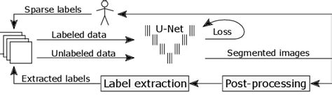 Figure 1 From Evaluation Of Semi Supervised Learning Using Sparse
