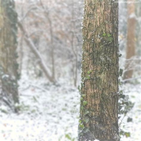 I D Rather Be In Westeros Porn Photo Pics