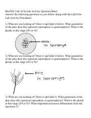 Lab InLab Question Sheet Pdf Bio L Lab In Lab Activity Question Sheet Answer The