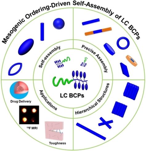 Mesogenic Orderingdriven Selfassembly Of Liquid Crystalline Block