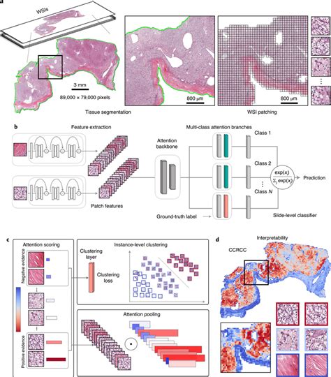 Overview Of The Clam Conceptual Framework Architecture And