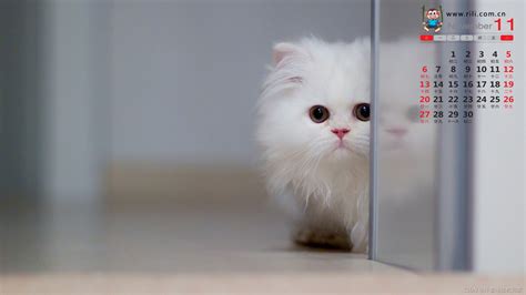 【linux】vfs 虚拟文件系统 详解 Csdn博客 【linux】vfs 虚拟文件系统 详解 Csdn博客