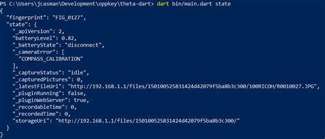 Learning Dart With Ricoh Theta Api Sample Code And Explanations Api Usage Camera 360 Developer