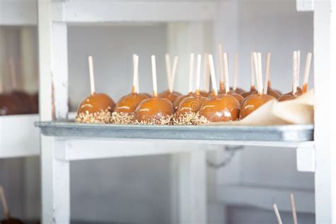 Candy Apples Caramel Carnival Stock Image Image Of Dessert Bite