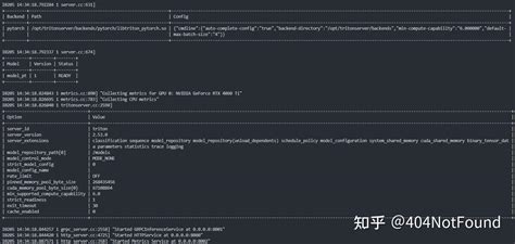 使用 triton 部署模型 知乎