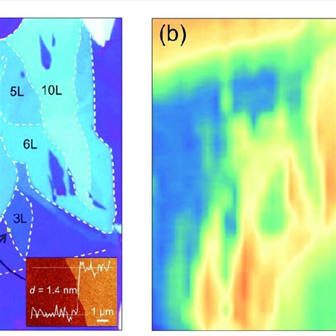 A Optical Micrograph Of Few Layer Cst Flakes Their N Layer Nl Download Scientific Diagram