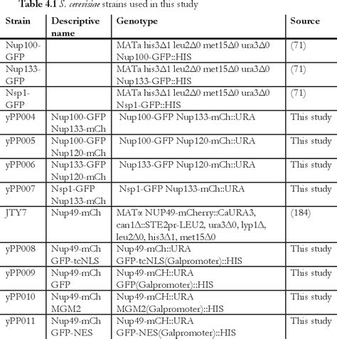 Table 4 1 From Selectivity Of The Yeast Nuclear Pore Complex Probing Transport In Vivo