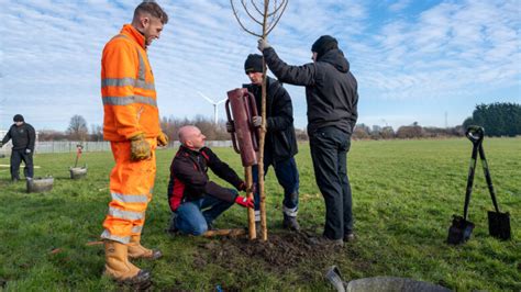 Wood You Believe It Hull Announced As Tree City Of The World For Third Year Running Hull CC