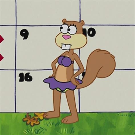How Did Sandy Cheeks Die In Spongebob Skabash
