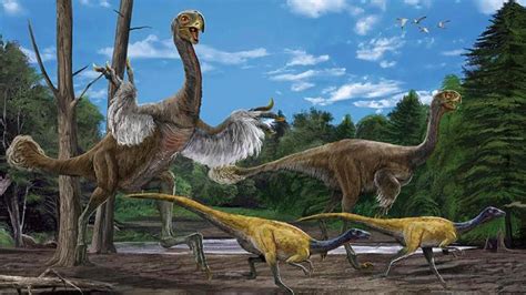 Worlds Largest Feathered Dinosaur Comes To Nottingham Itv News Central