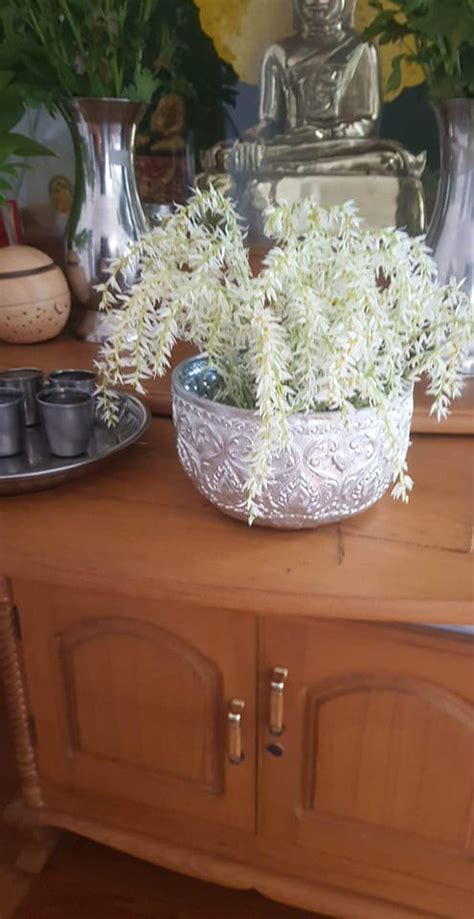 သဇင်ပန်း ချစ်သူများ