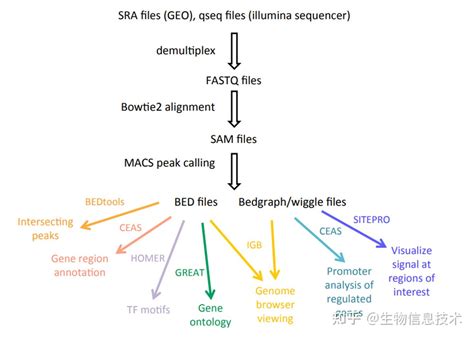Chip Seq数据分析步骤 知乎