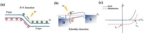 Advances In Group 10 Transition Metal Dichalcogenide Pdse2 Based Photodetectors Outlook And