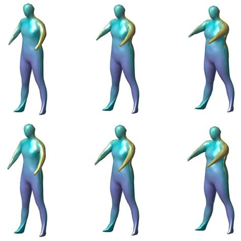 Geodesics Between Two Human Body Surfaces In The Space Of Download Scientific Diagram