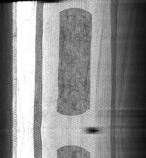 Baby Diaper Inspection