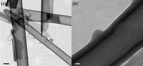 Tem Image Of An Isolated Sio2 Nt After 100 Galvanostatic Download