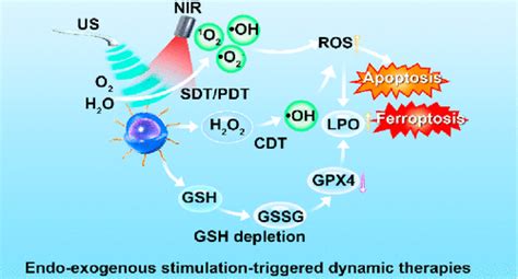 Bimetallic Cu Ru Core Shell Structures With Ligand Effects For Endo