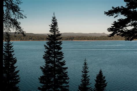 Lake Almanor Wedding Venues