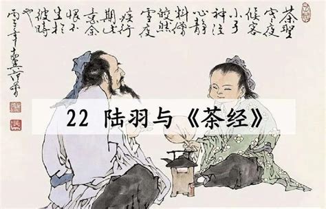 白茶历史起源与发展 知乎
