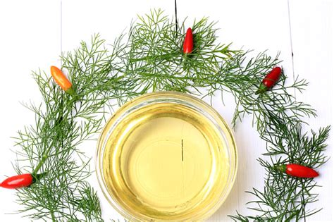 흰색 나무 배경 스타일에 향신료 딜 칠리 후추 올리브 오일의 화 환 플랫 라운드 프레임의 상위 뷰 0명에 대한 스톡 사진 및