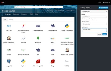 Okd Openshift Lto Network