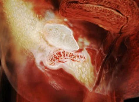 Cuando tienes sexo así luce tu cuerpo Salud180