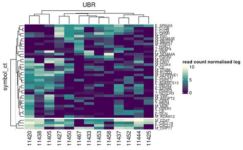 split the heatmap row wise depending on the biggest branches in the