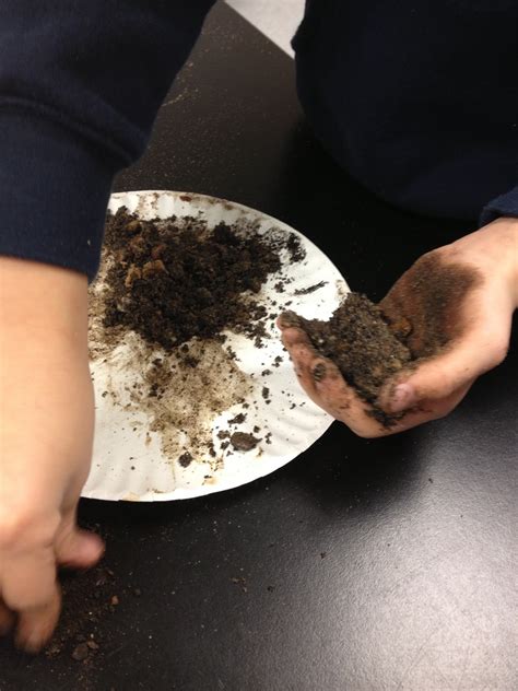 The Th Grade May Niacs Soil Texture