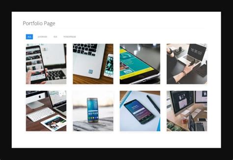 Filterable Portfolio Gallery With Lightbox Integrated Perfecto Portfolio Wp Missing