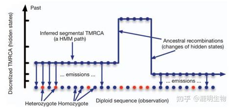 生信详解 高深度重测序数据探秘种群动态历史 知乎