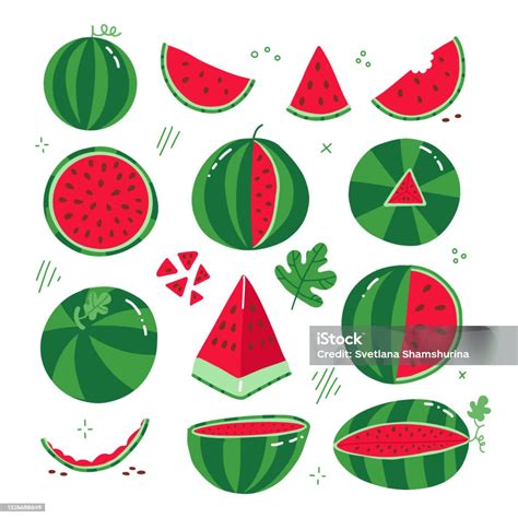 다른 수박 의 큰 세트 전체 절반 조각 물린 조각 흰색 배경에 플랫 스타일 로고 격리 된 손으로 그린 벡터 그림 수박에 대한