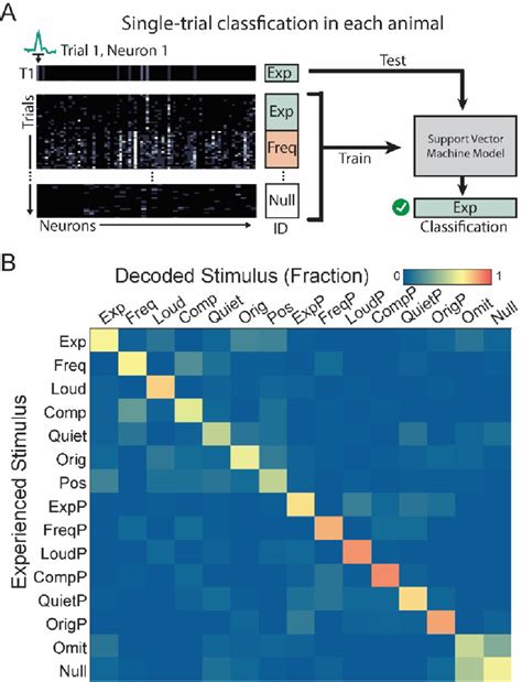 Auditory Cortex Neurons Can Detect And Classify Self Generated Sounds