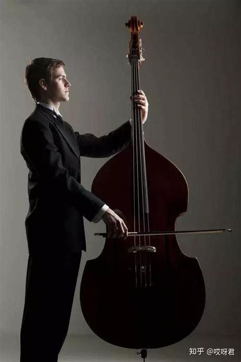 你必须知道的弦乐组编写基础知识！ 知乎