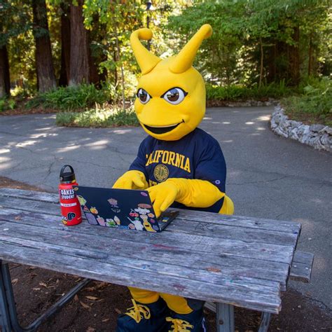 How To Add A Network Printer On Windows Via IP Address Or Hostname Social Sciences Division