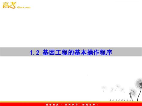 12 基因工程的基本操作程序word文档在线阅读与下载无忧文档