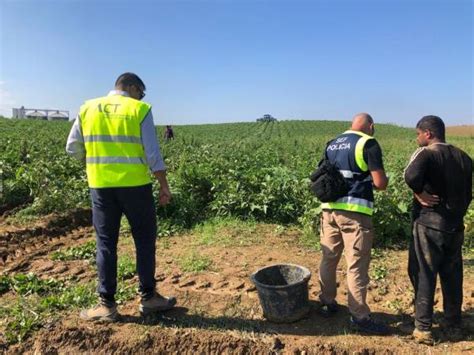 Eu Authorities Target Labour Exploitation In The Fields 874 Workers Affected By Labour